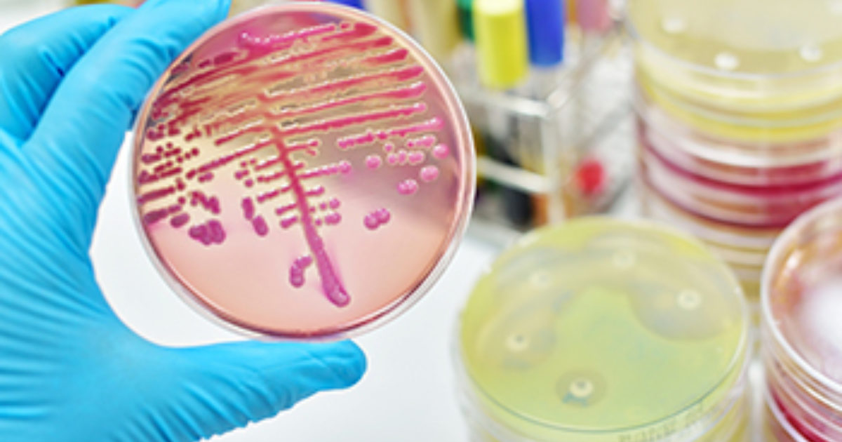 AIHA Laboratory Accreditation Programs, LLC | Lab Accreditation…