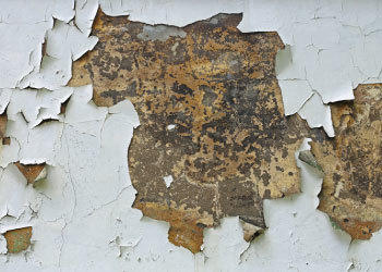 AIHA Laboratory Accreditation Programs, LLC | Homepage